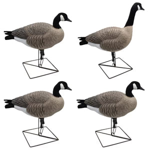 LIVE FULL BODY HONKERS - UPRIGHTS 4 PACK - FA Brand Canada