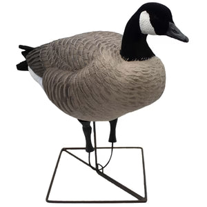 LIVE FULL BODY HONKERS - UPRIGHTS 4 PACK - FA Brand Canada