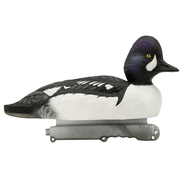 Live Foam Filled Barrow’s Goldeneye Duck Decoys 6 Pack - FA Brand Canada