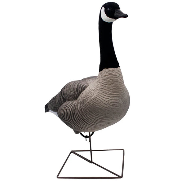 HD Full Body Honker Decoys - 6 Pack - FA Brand Canada